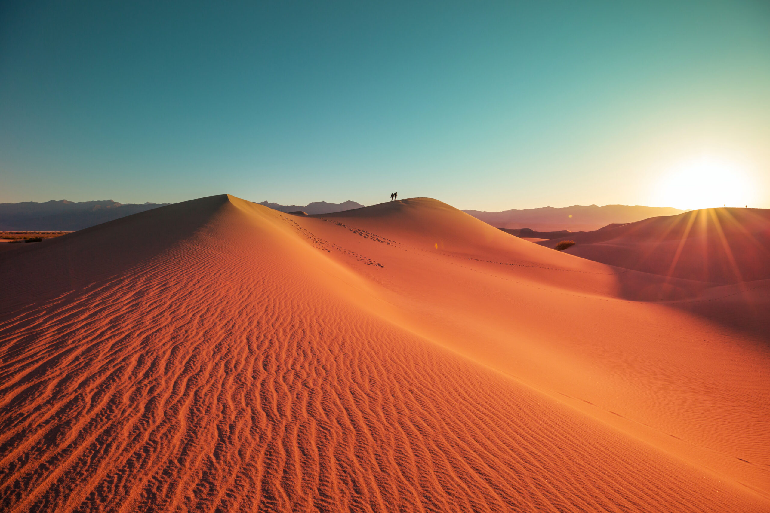 Inside The World s Hottest Regions A Complete Guide To Hot Desert Inside The World s Hottest Regions A Complete Guide To Hot Desert