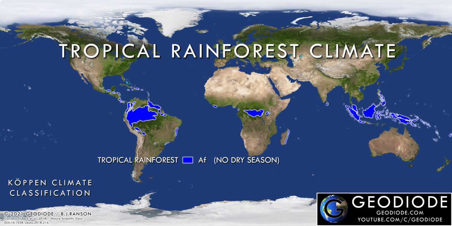 Tropical Rainforest (1) – Digital Agency