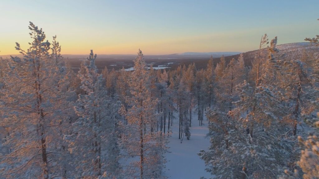 Subarctic (10) – Geodiode