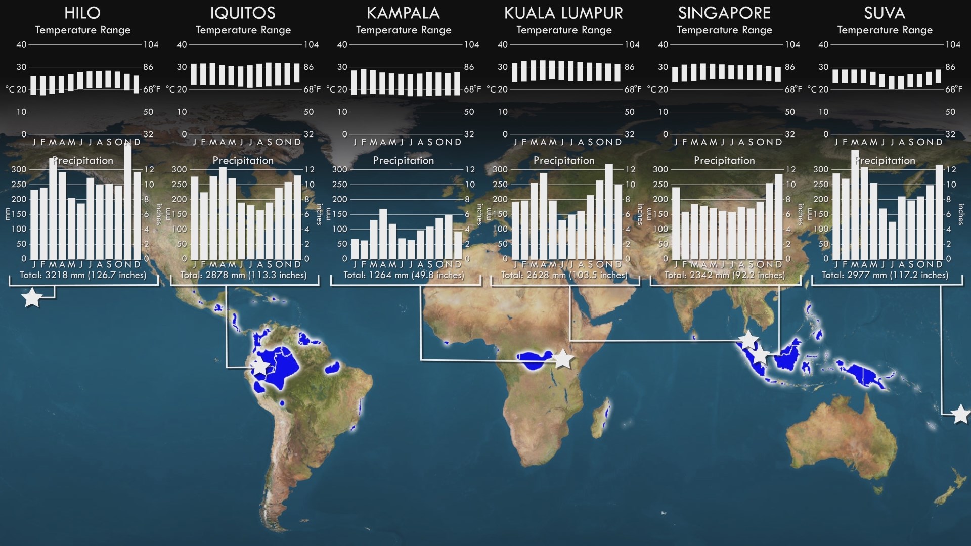 Tropical Rainforest (1) – Geodiode