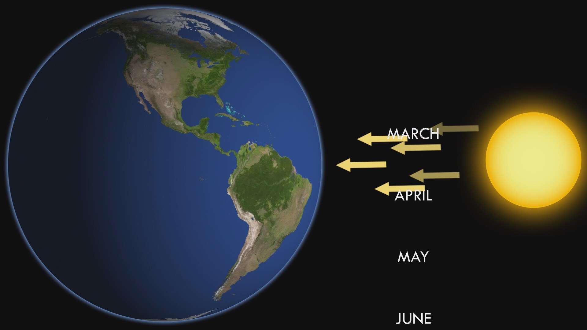 Tropical Rainforest (1) – Digital Agency