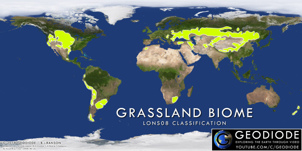 Grasslands (5) – Geodiode